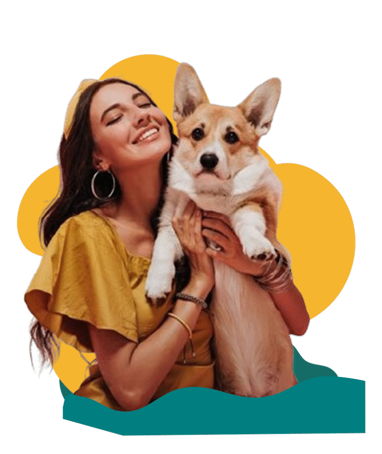 RMV Veterinary – Multi-Specialty Veterinary Clinic