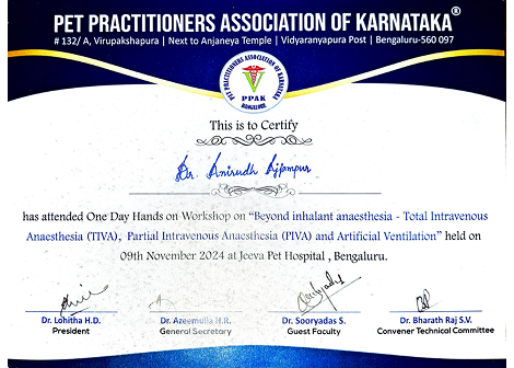 About-Us - RMV Veterinary